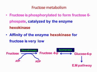 1051 carbohydrate metabolism lecture 8 | PPTX