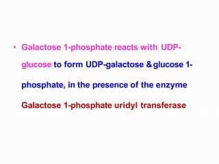 1051 carbohydrate metabolism lecture 8 | PPTX