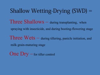 1051 Modified SRI and super-high yield of hybrid rice in Sichuan Basin ...