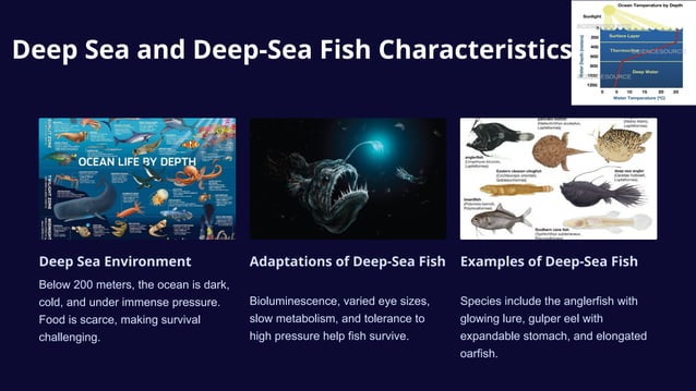 Deep marine life and their evalution and movement | PPT