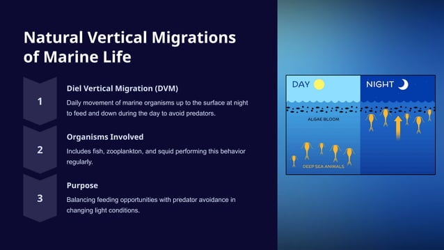 Deep marine life and their evalution and movement | PPT