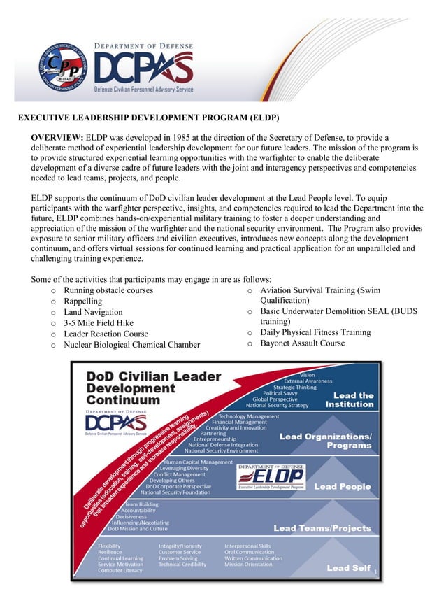 DoD-LDP-Program-Overview | PDF | Free Download
