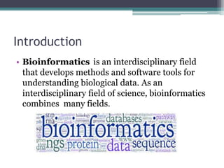 Bioinformatics Software