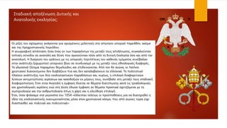 ΤΟ ΟΡΙΣΤΙΚΟ ΣΧΙΣΜΑ (1054), ΜΑΙΡΗΤΖΩΡΤΣΟΥ | PPTX