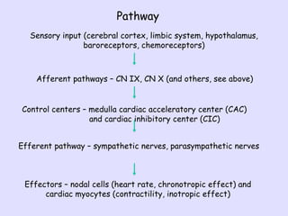 cardiac output learning cardiac cylic events.ppt