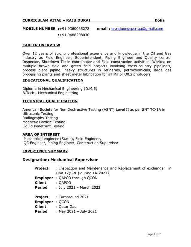 10548-Raju CV 2022.pdf for oil and gasjo | PDF