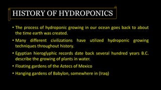 HYDROPONICS | PPT