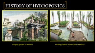 HYDROPONICS | PPT