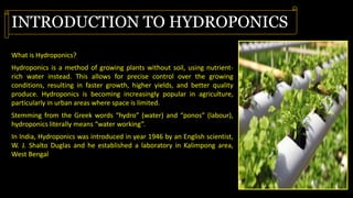 HYDROPONICS | PPT