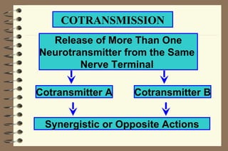 INTRODUCTION TO AUTONOMIC PHARMACOLOGY Part III - Mechanism | PPT