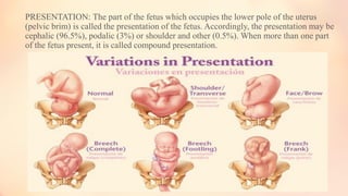 1056_Fetus_in_uterus.pdf1056_Fetus_in_uterus.pdf 1 | PDF | Pregnancy ...