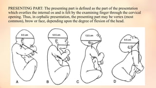 1056_Fetus_in_uterus.pdf1056_Fetus_in_uterus.pdf 1 | PDF