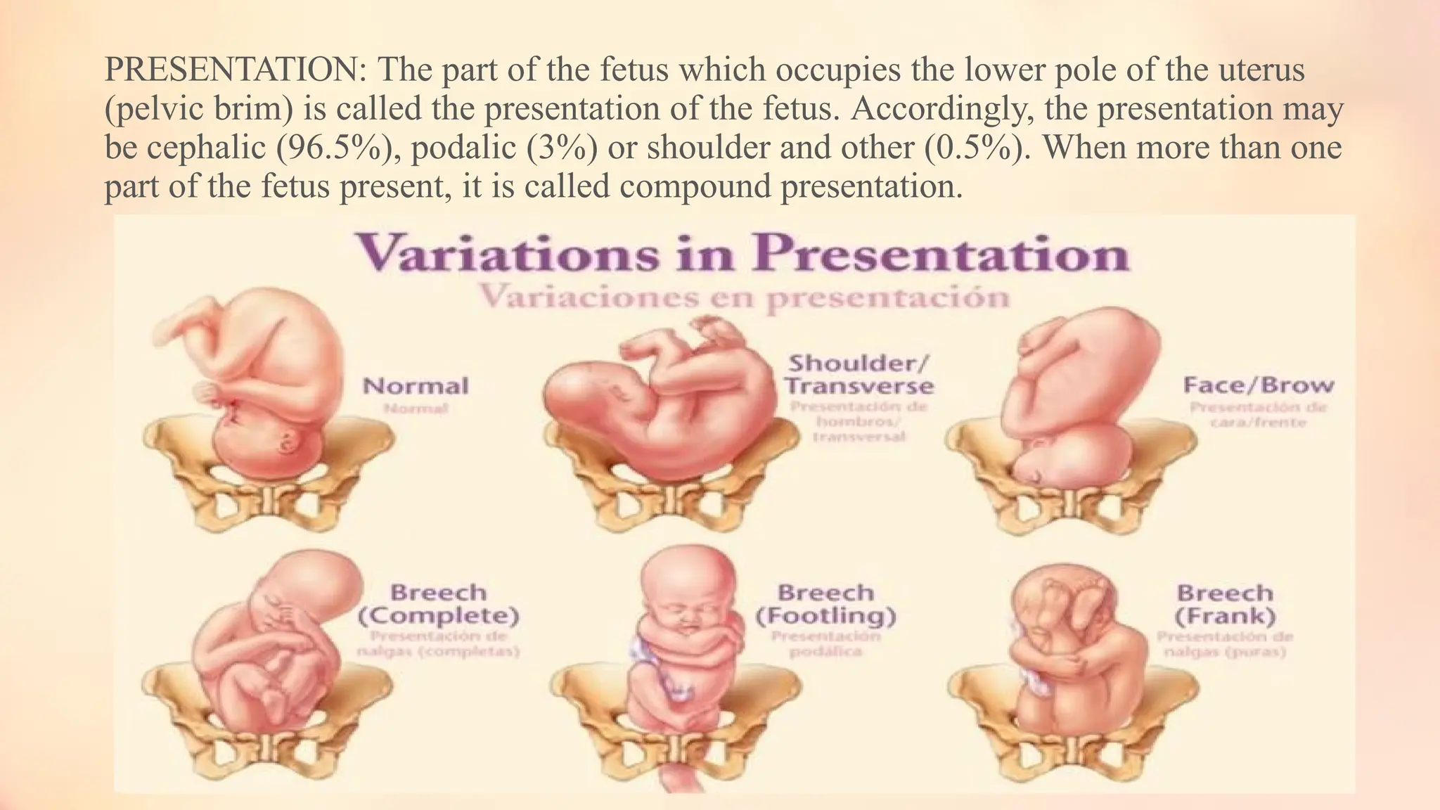 Feto pelvic relationship lie position ppt | PPTX