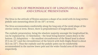 Feto pelvic relationship lie position ppt | PPT