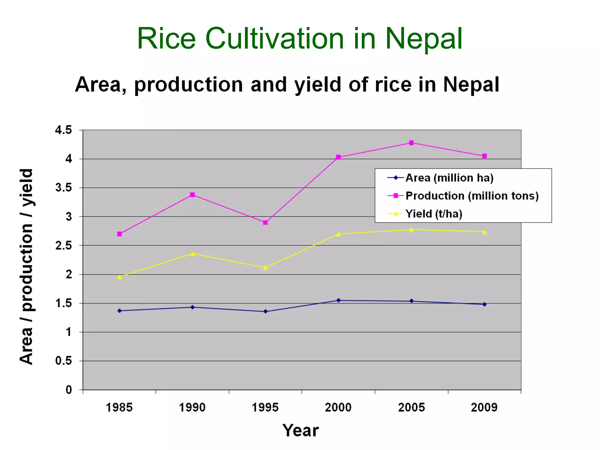 1056 Meshing mechanization with SRI methods for rice cultivation in Nepal | PPT