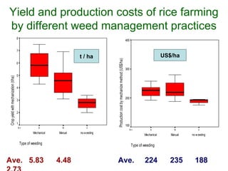 1056 Meshing mechanization with SRI methods for rice cultivation in ...