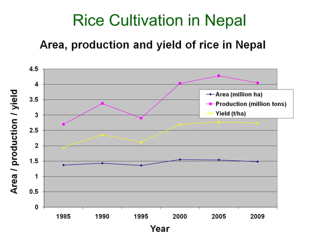 1056 Meshing mechanization with SRI methods for rice cultivation in ...
