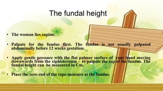 obstetric examination and gynecological postings mbbs | PPT