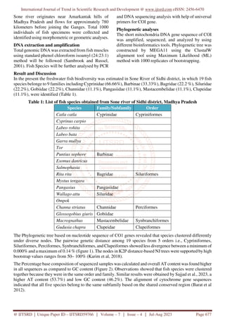 A Study on Phylogenetic Analysis of Fishes in the Sone River of Sidhi ...