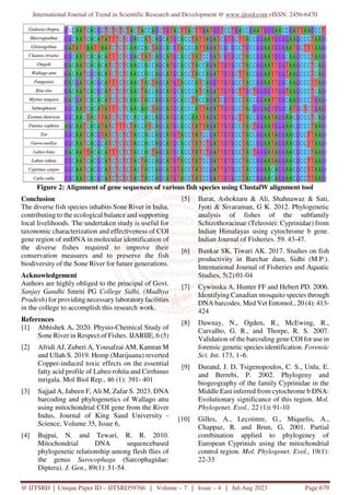 A Study on Phylogenetic Analysis of Fishes in the Sone River of Sidhi ...