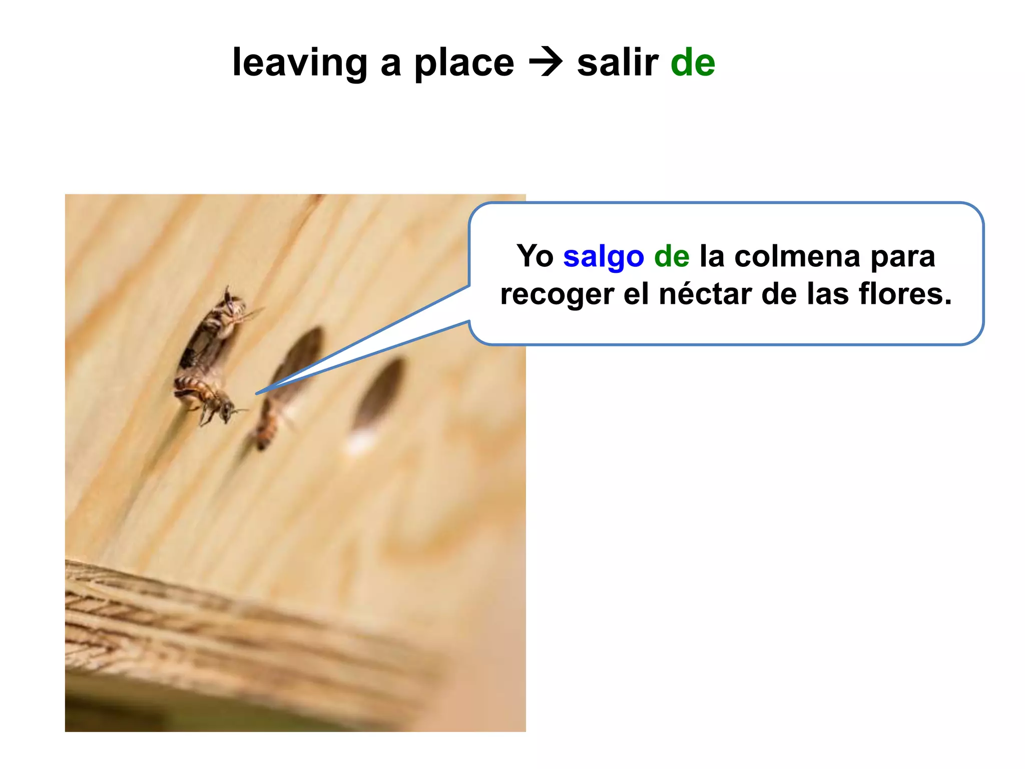 First Form Irregular verbs: hacer, poner, traer, salir, oir. Spanish4Ag ...