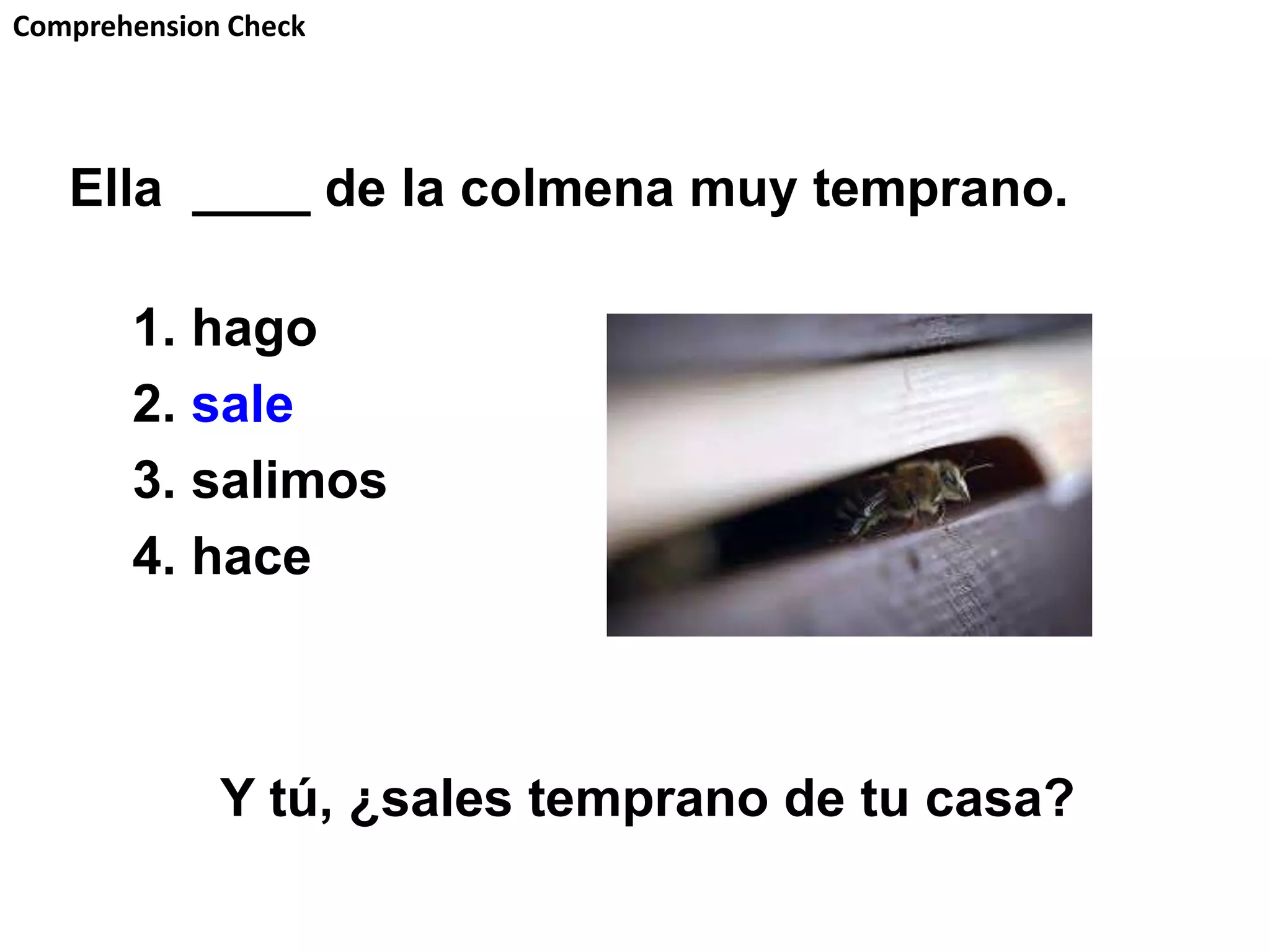 First Form Irregular verbs: hacer, poner, traer, salir, oir. Spanish4Ag ...
