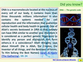 Al Quran (Chapter 106): Surah Quraysh [Quraysh an Arab Tribe] | PDF