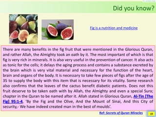 Al Quran (Chapter 106): Surah Quraysh [Quraysh an Arab Tribe] | PDF