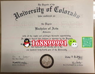 University of Colorado Boulder degree offer diploma Transcript | PPT