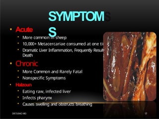 life history of Fasciola-Hepatica (.pptx