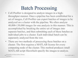 Cell Profiler | PPT