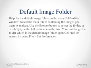 Cell Profiler | PPTX