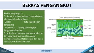 1068-Berkas Pengangkut (1).pptx