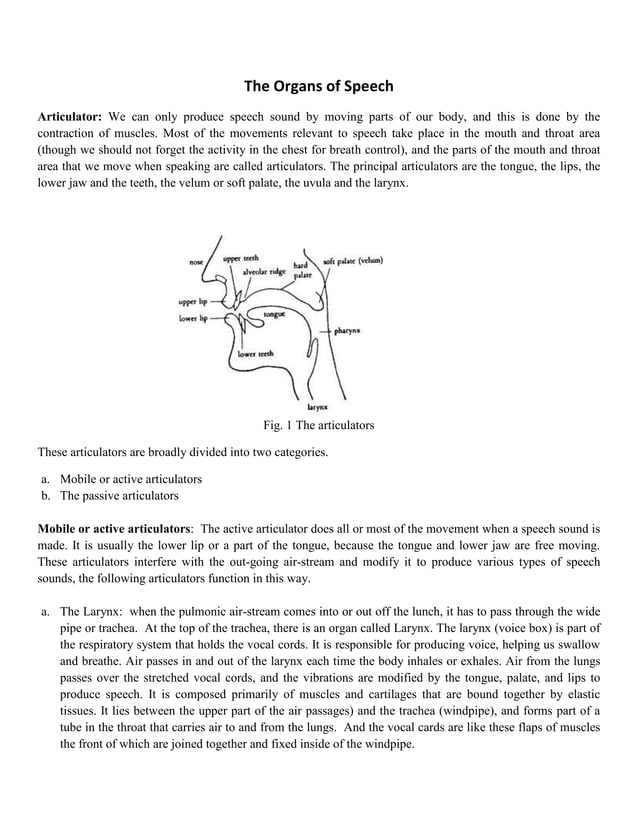 106 the organ of speech | PDF