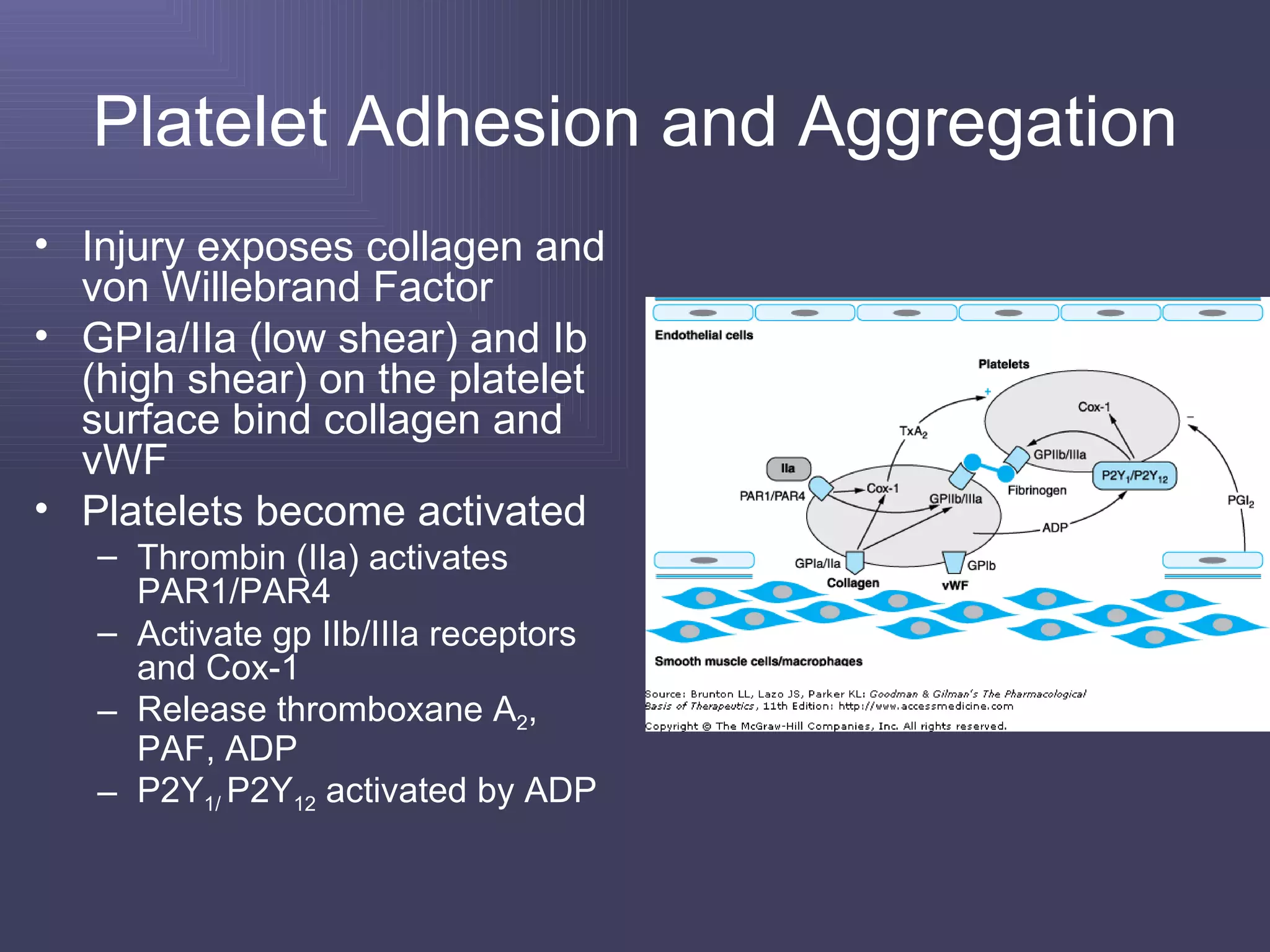 Woods Anticoag Antianem 09 | PPT