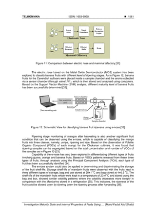 Investigating Maturity State and Internal Properties of Fruits Using Non-Destructive Techniques ...