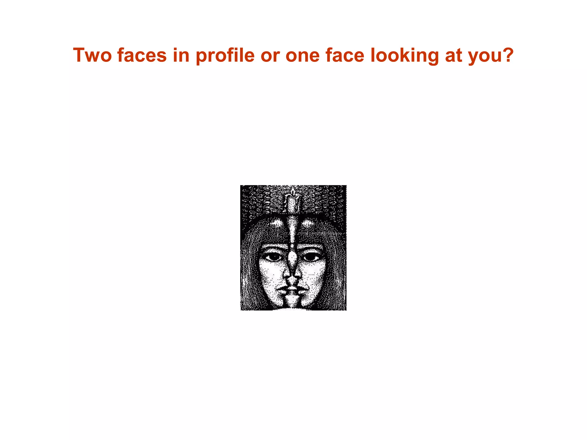 1073_optical illusions.pdf