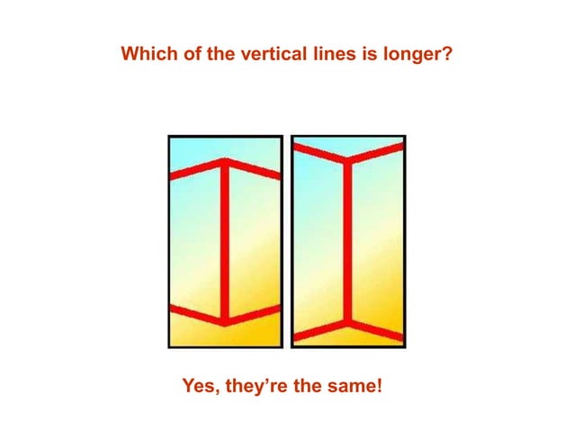 1073_optical illusions.pdf