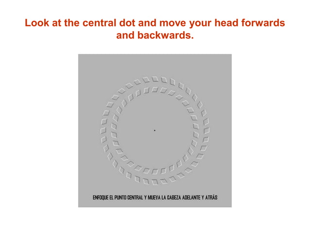 1073_optical illusions.pdf