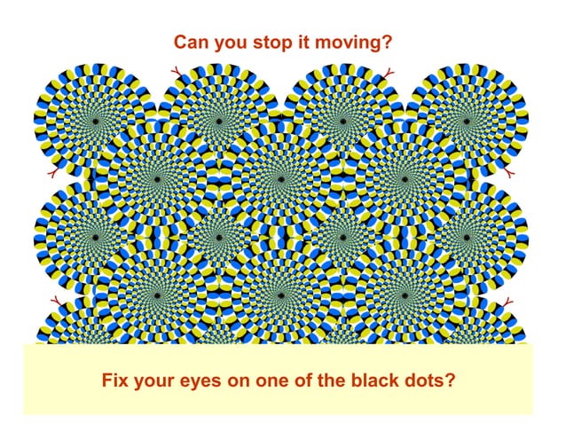 1073_optical illusions.pdf