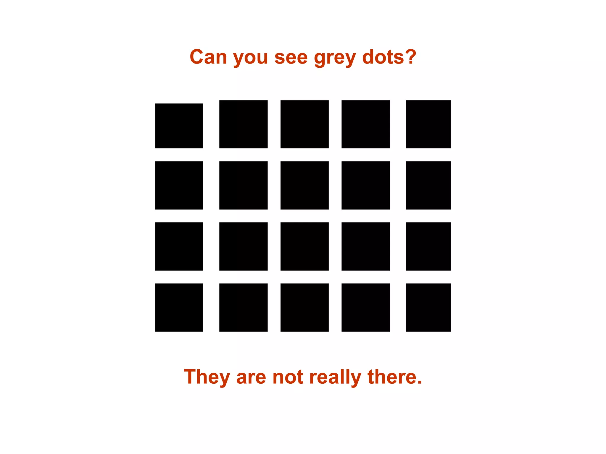 1073 Optical Illusions Pdf