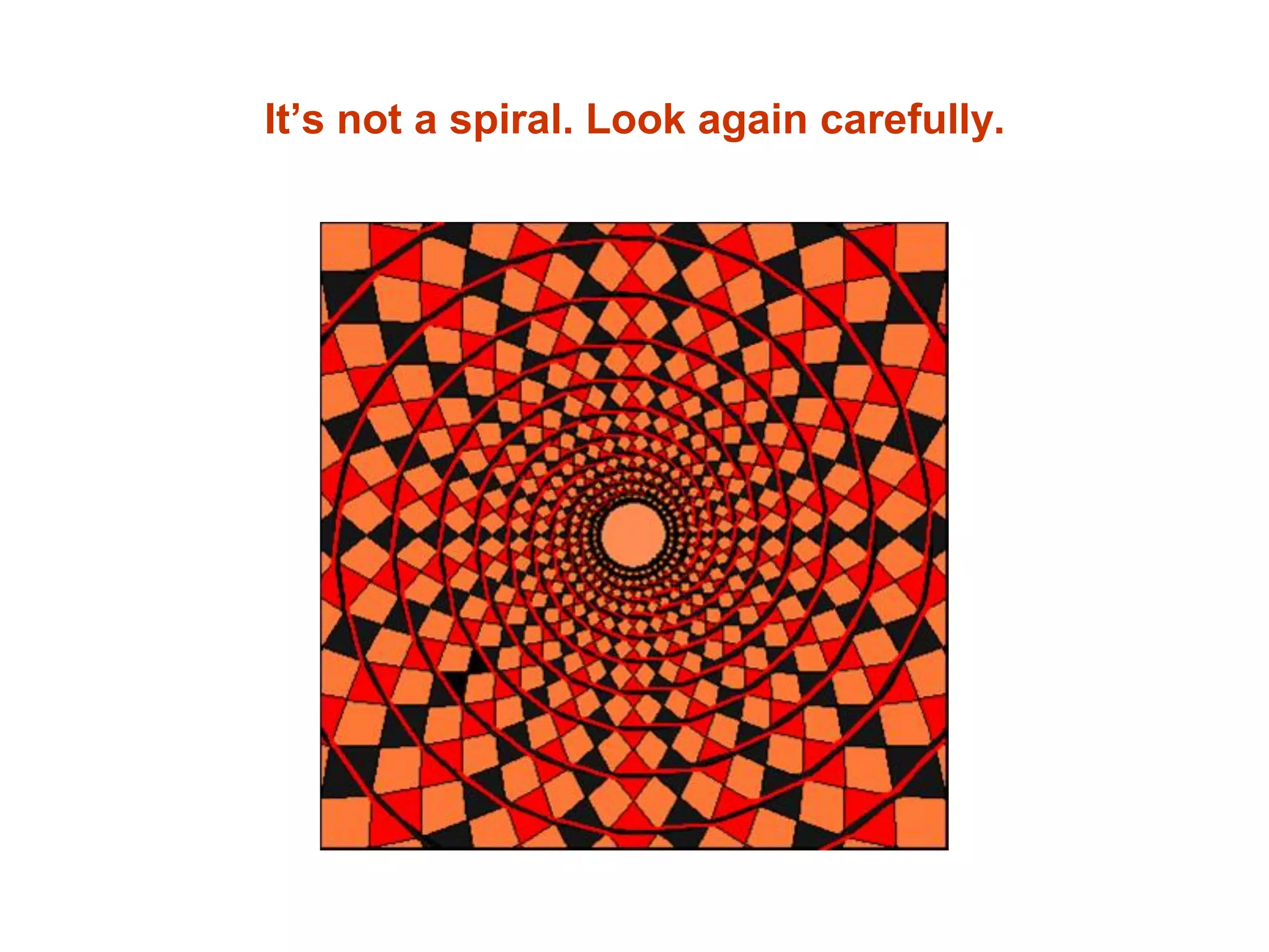 1073_optical illusions.pdf