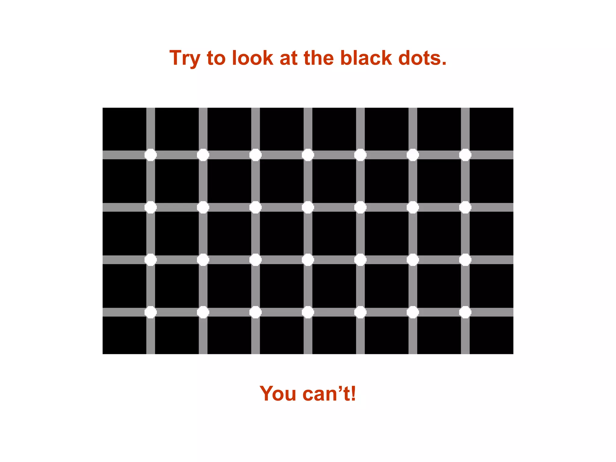 1073_optical illusions.pdf