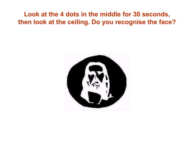 1073_optical illusions.pdf