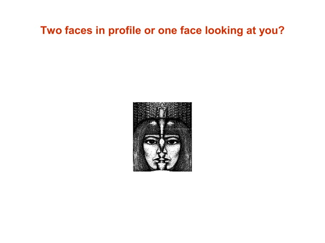 1073 Optical Illusions Pdf Free Download