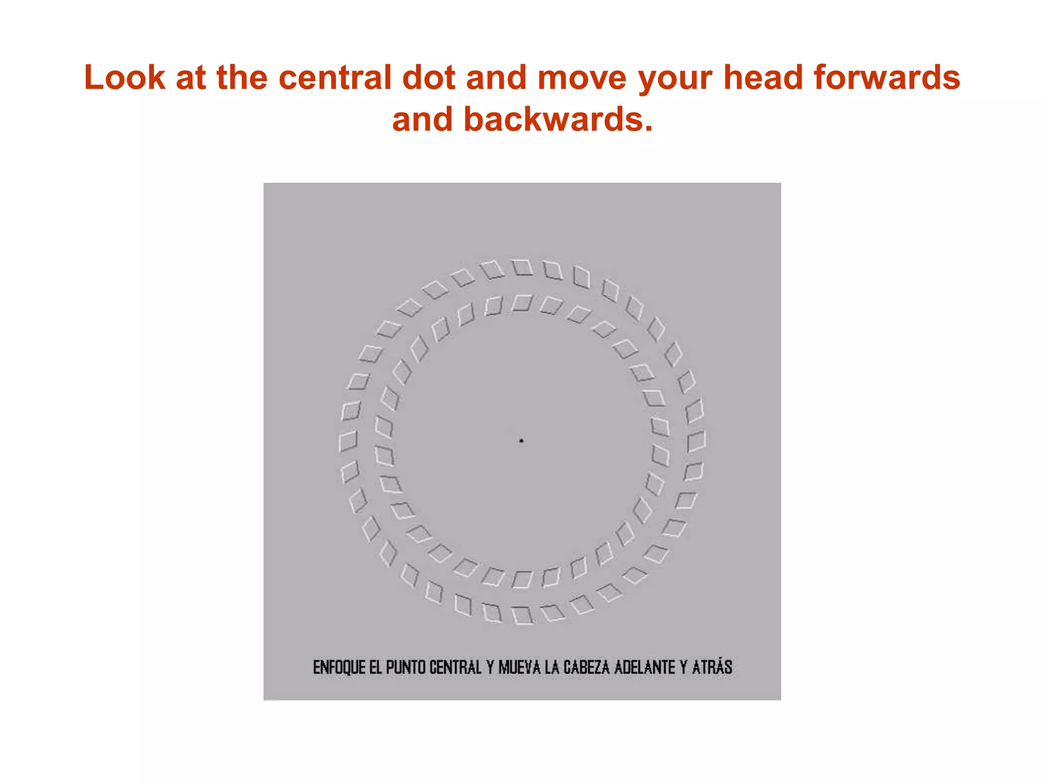 1073_optical illusions.pdf