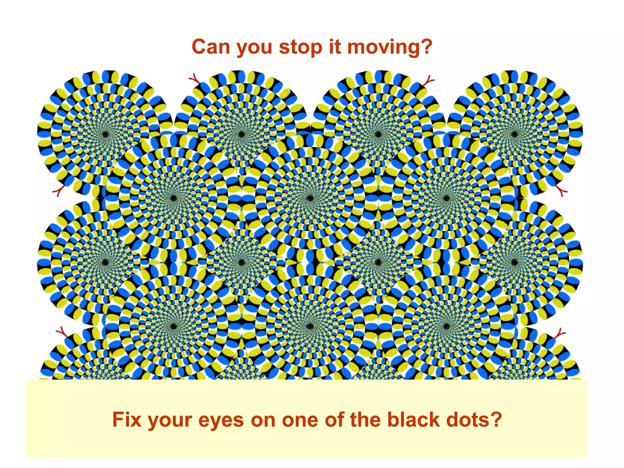 1073_optical illusions.pdf