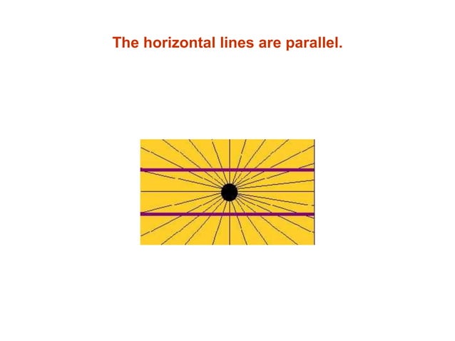 1073_optical illusions.pdf