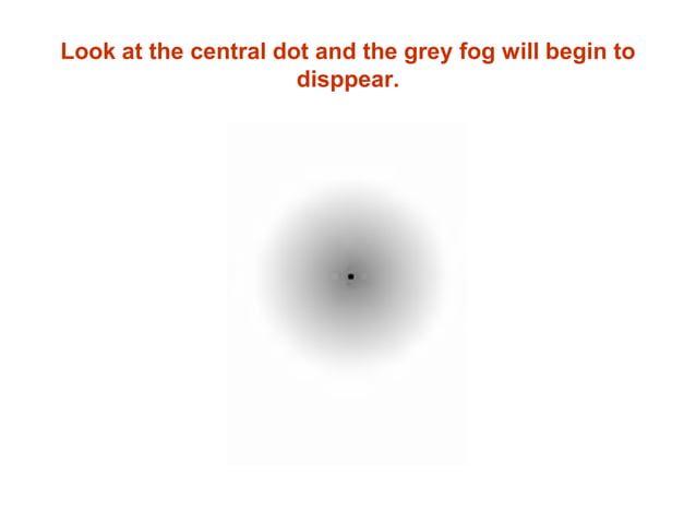 1073_optical illusions.pdf