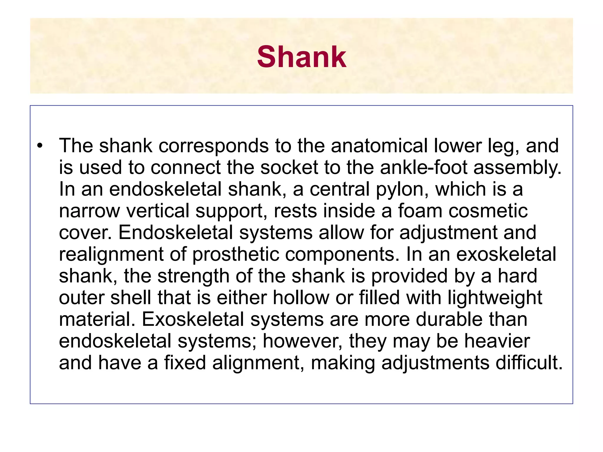 107493_Lower Limb Pro..PPT